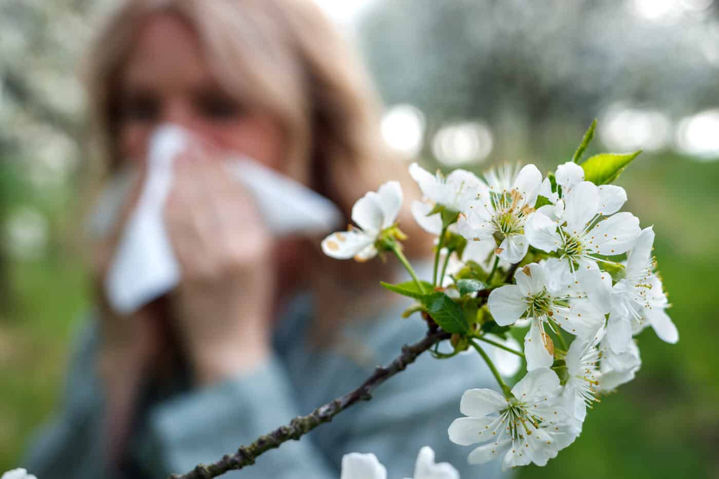 Private Hay Fever Prescription Consultations in Birmingham